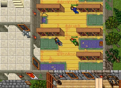 Rookgaard Academy | TibiaWiki | Fandom