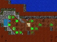 The Exterminator Quest | TibiaWiki | Fandom