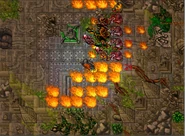 Medusa Tower | TibiaWiki | Fandom