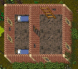 Dagger Alley 1 | TibiaWiki | Fandom