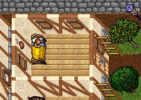 The City Wall 5a | TibiaWiki | Fandom