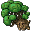 Magical Tree (Druid) | TibiaWiki | Fandom