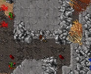 An Uneasy Alliance Quest | TibiaWiki | Fandom