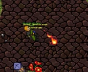 Magias | TibiaWikiPT | Fandom