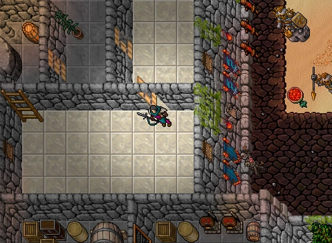 Castle, Residence | TibiaWiki | Fandom