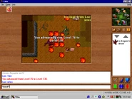 Arieswar | TibiaWiki | Fandom