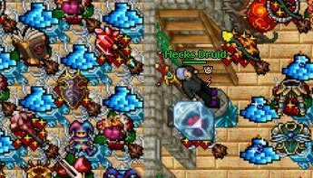 Yellow Rose/History | Tibia Wiki | Fandom