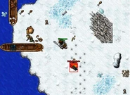 Dire Penguin | TibiaWiki | Fandom