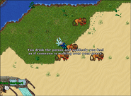 Feaster of Souls Quest/Spoiler | TibiaWiki | Fandom