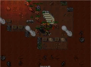 Apprentice Sheng | TibiaWiki | Fandom