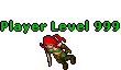 Player Level 999 | TibiaWiki | Fandom