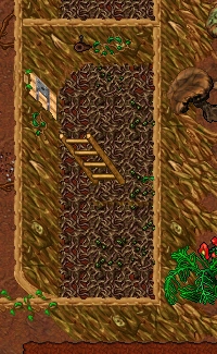 Shadow Caves 6 | TibiaWiki | Fandom