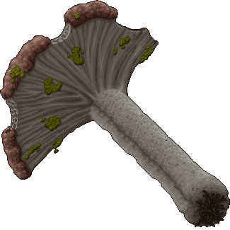 Mushrooms | TibiaWiki | Fandom