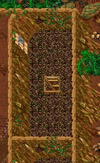 Shadow Caves 4 | TibiaWiki | Fandom