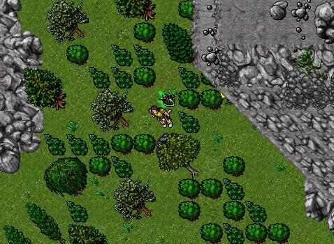 Steel Helmet Quest/Spoiler | TibiaWiki | Fandom