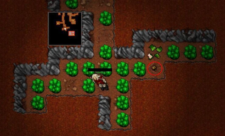 Mushrooms | TibiaWiki | Fandom