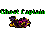 Ghost Captain | TibiaWiki | Fandom