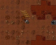 Blood Herb Quest | TibiaWiki | Fandom