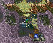 Twenty Miles Beneath the Sea Quest/Spoiler | TibiaWiki | Fandom