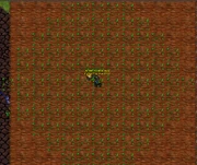 Magias | TibiaWikiPT | Fandom