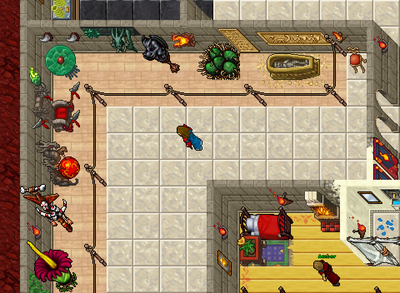 Rookgaard Academy | TibiaWiki | Fandom