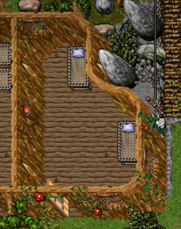 Coastwood 4 | TibiaWiki | Fandom