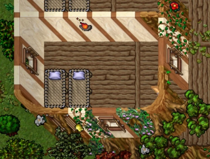 Coastwood 1 | TibiaWiki | Fandom