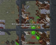 Oramond Quest | TibiaWiki | Fandom