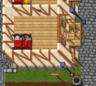 The City Wall 3d | TibiaWiki | Fandom