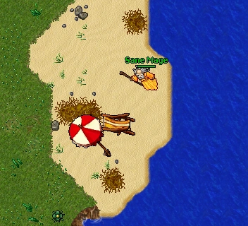 Sane Mage | TibiaWiki | Fandom