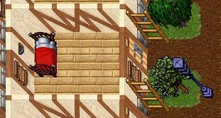 The City Wall 5c | TibiaWiki | Fandom