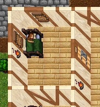 Sunset Homes, Flat 11 | TibiaWiki | Fandom