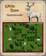 White Deer | TibiaWiki | Fandom