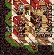 CM Token | TibiaWiki | Fandom