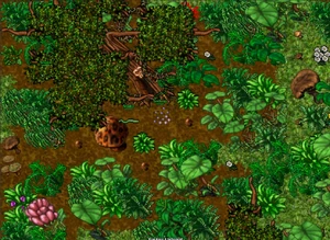 Treasure Hunt Quest | TibiaWiki | Fandom