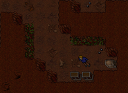 Pick Quest | TibiaWiki | Fandom