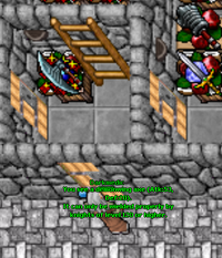 Demonwing Axe | TibiaWiki | Fandom