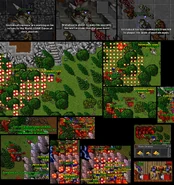 Orshabaal | TibiaWiki | Fandom