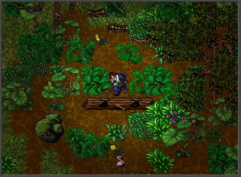 Midnight Panther (Mount) | TibiaWiki | Fandom