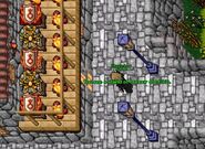 Shield of Honour | TibiaWiki | Fandom