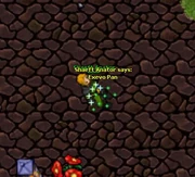 Magias | TibiaWikiPT | Fandom