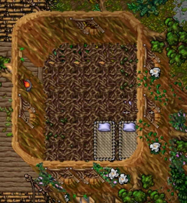 Coastwood 8 | TibiaWiki | Fandom