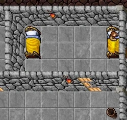 Edron Flats, Flat 21 | TibiaWiki | Fandom