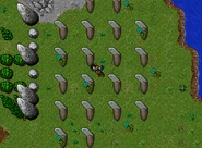 Edron Graveyard | TibiaWiki | Fandom