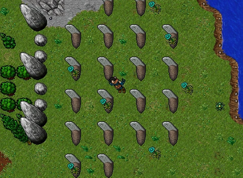 Edron Graveyard | TibiaWiki | Fandom