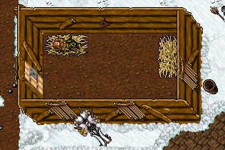 Tusk Flats 1 | TibiaWiki | Fandom