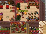 Arieswar | TibiaWiki | Fandom