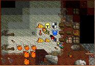 Golden Helmet | TibiaWiki | Fandom