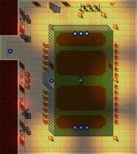 Football (Game) | TibiaWiki | Fandom