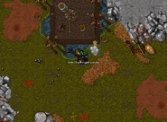 Oramond Quest | TibiaWiki | Fandom